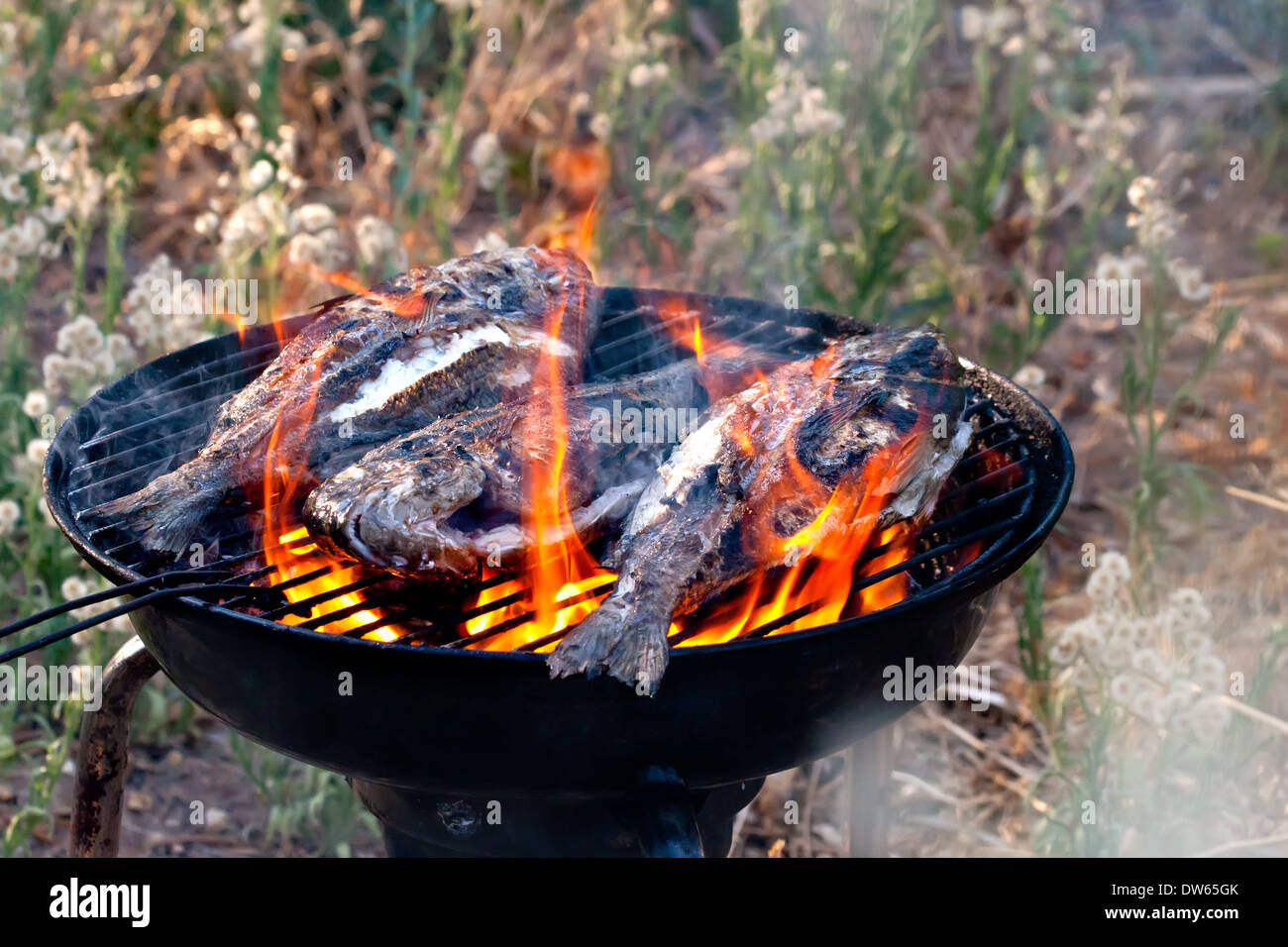 Picnic seabream hi-res stock photography and images - Alamy