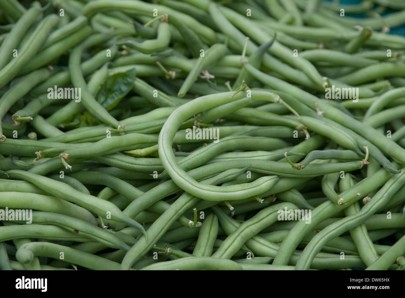 Long thin beans hi-res stock photography and images - Alamy