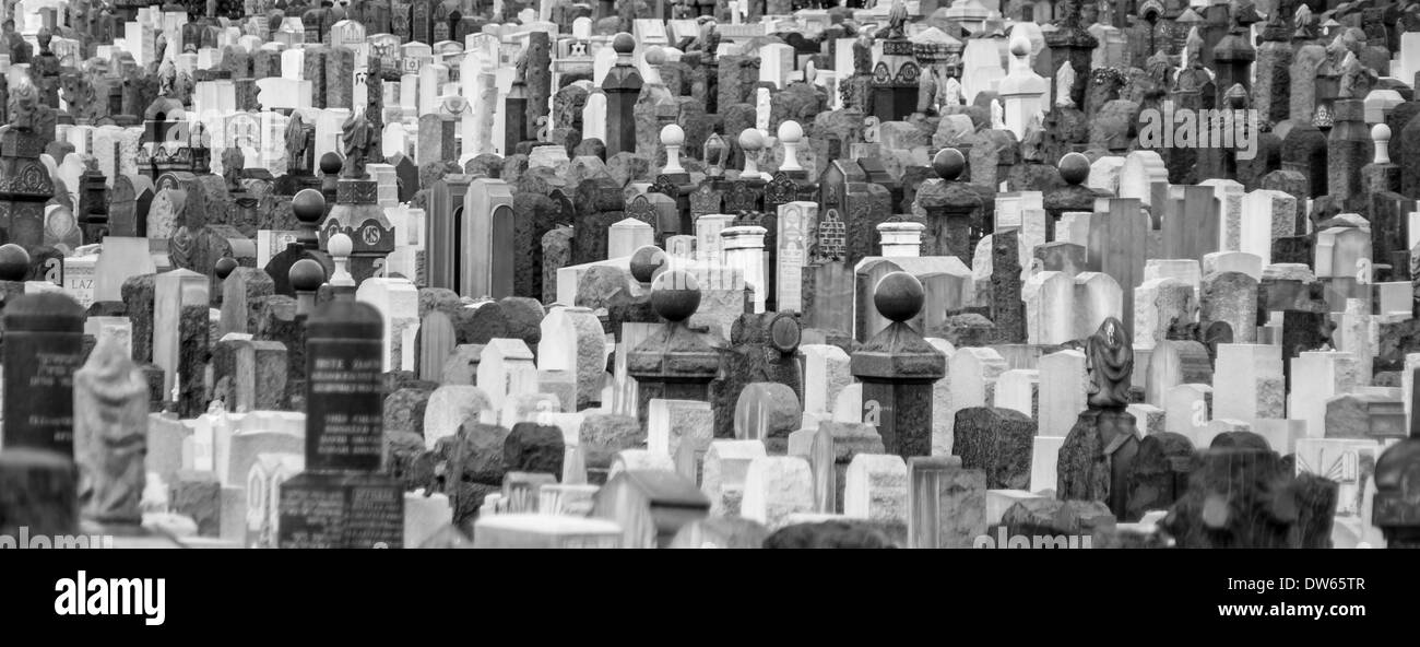 Old grey tomb stones in cemetery background Stock Photo - Alamy