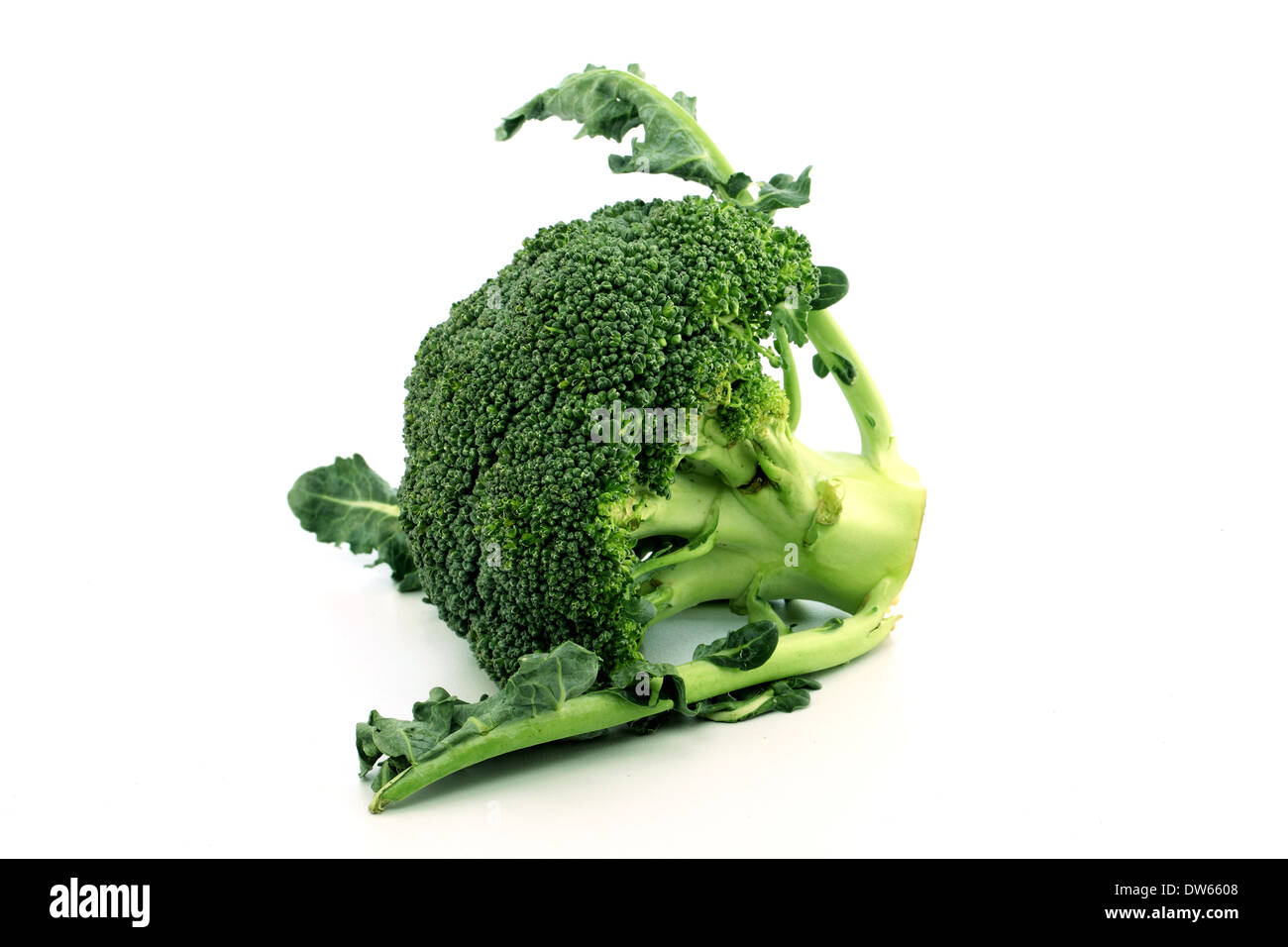 Fresh broccoli on white Stock Photo - Alamy