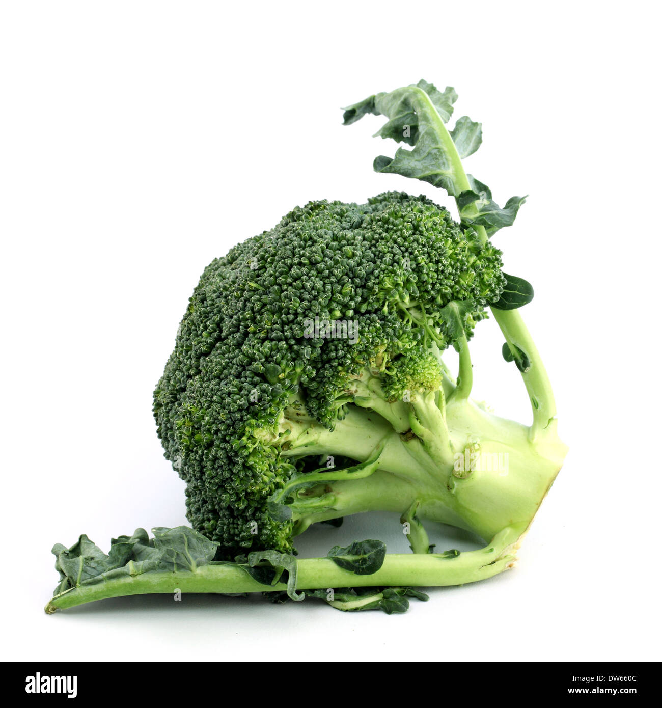 Fresh broccoli on white Stock Photo - Alamy