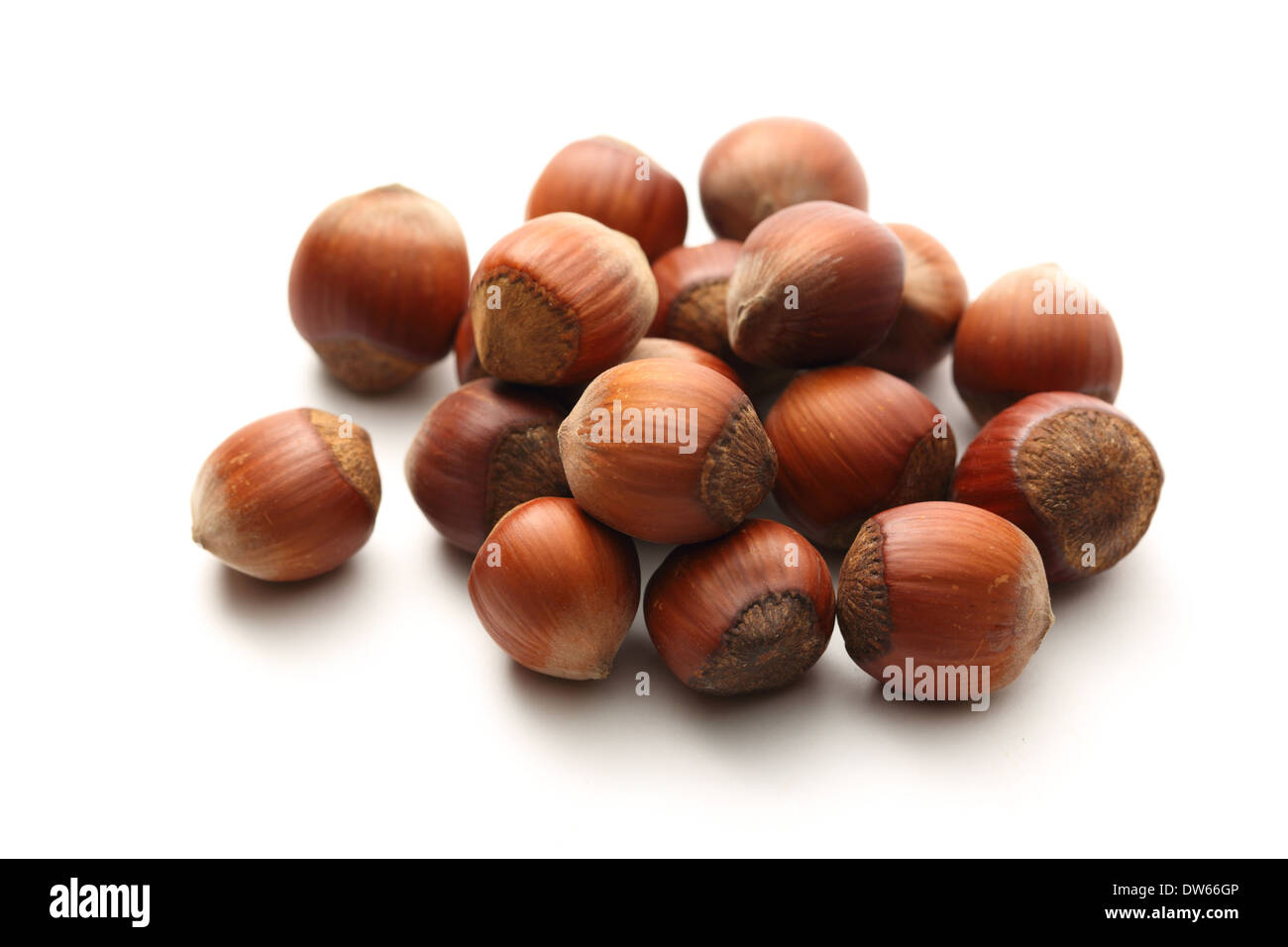Fresh hazelnuts on white background Stock Photo - Alamy