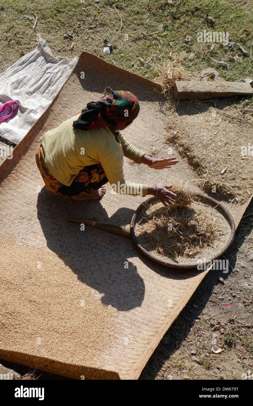 Woman sifting grain in Bahundanda, Nepal Stock Photo - Alamy