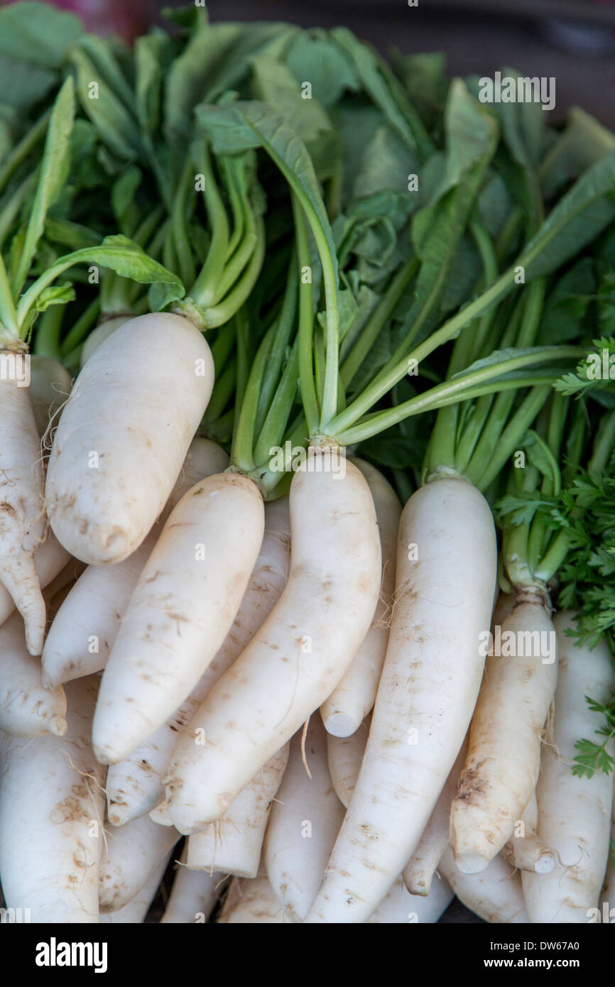 Sell root radish market vegetable hi-res stock photography and images ...