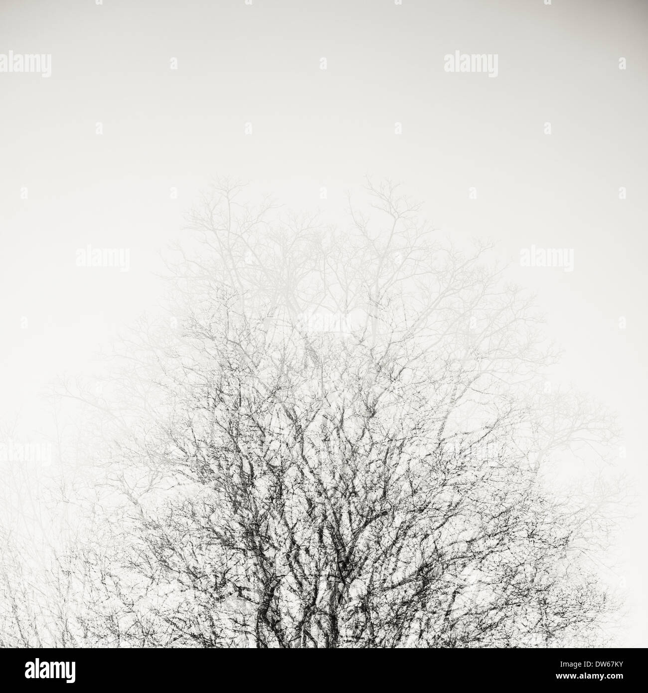 Multi exposition technique hi-res stock photography and images - Alamy