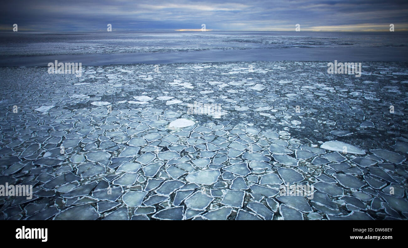 drift ice in Baltic sea Stock Photo - Alamy