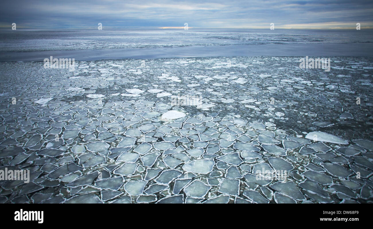 drift ice in Baltic sea Stock Photo - Alamy