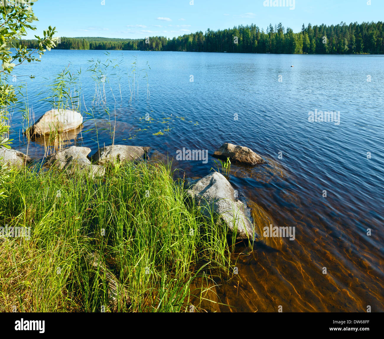 Lake summer view with forest on the edge ( Finland Stock Photo - Alamy