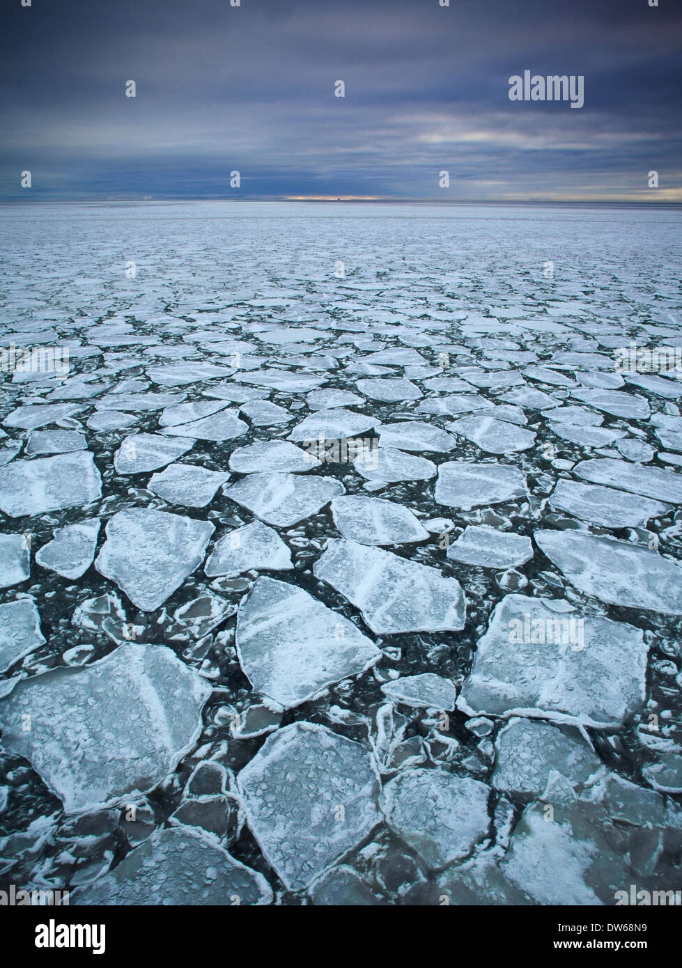 drift ice in Baltic sea Stock Photo - Alamy