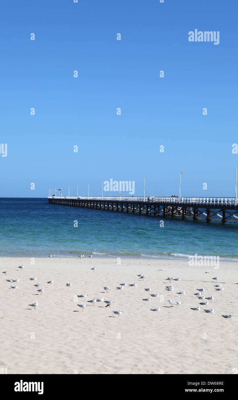 Busselton Western Australia Stock Photo - Alamy