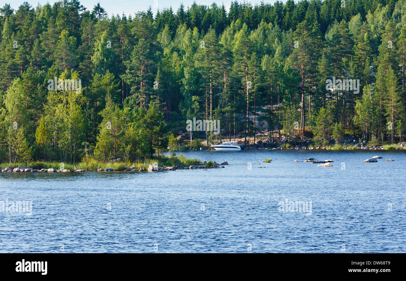 Lake summer view with forest on the edge ( Finland Stock Photo - Alamy