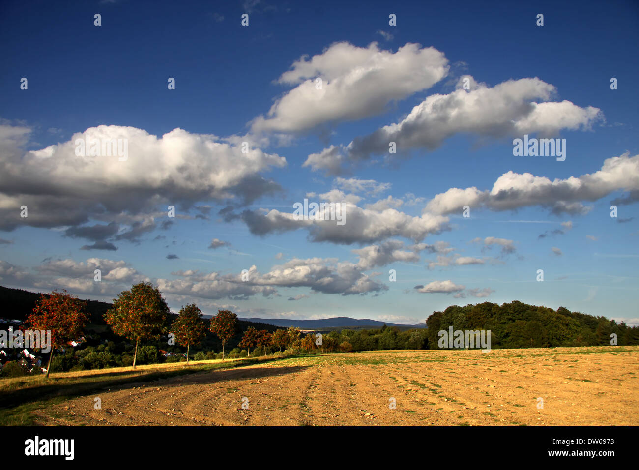 field in the Taunus mountains in summer evening Stock Photo - Alamy