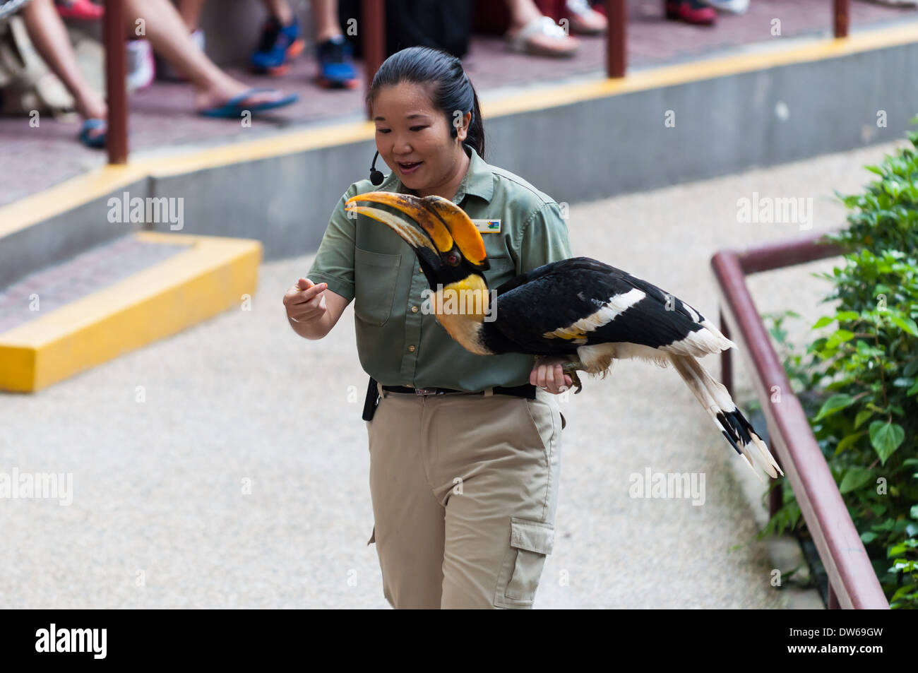 An animal trainer shows a bird to the audience at Jurong Bird Park in ...