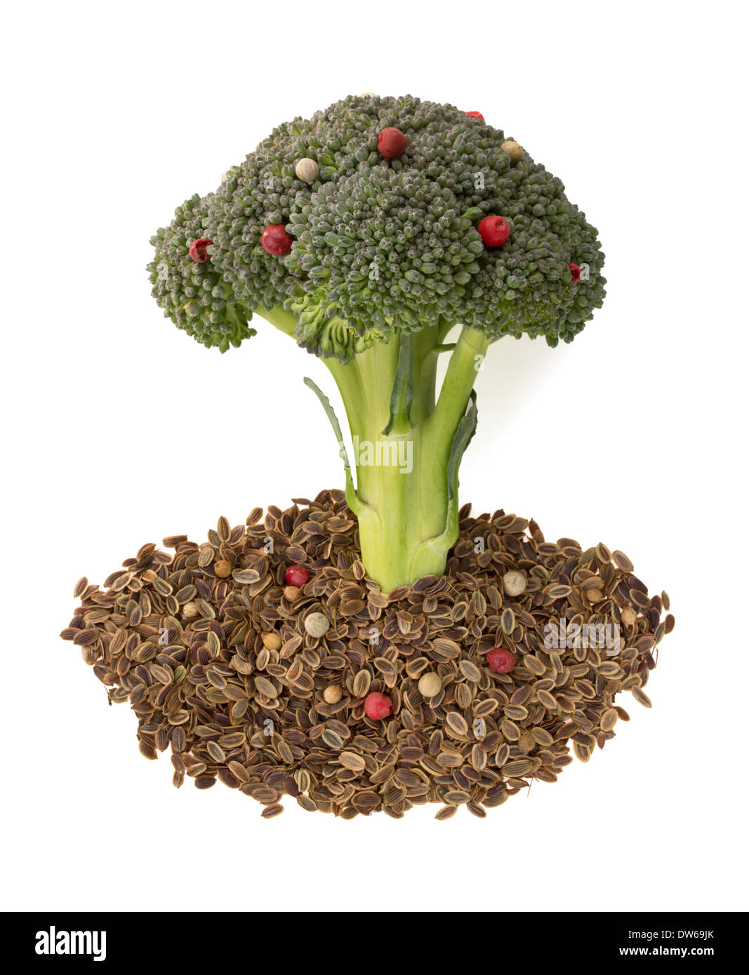 broccoli and spices isolated on white background Stock Photo - Alamy