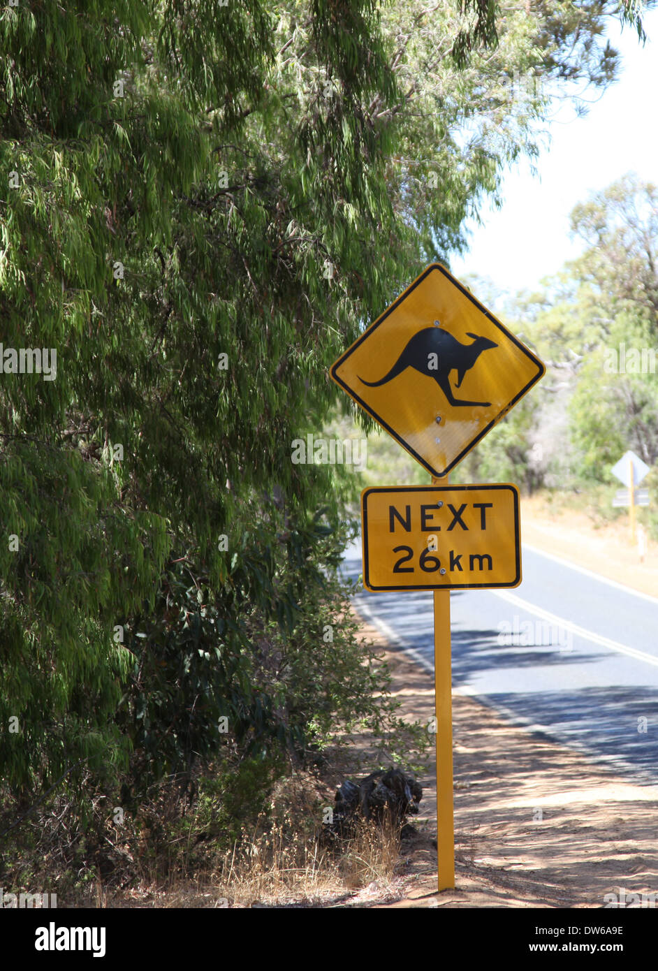 Kangaroo warning sign Caves Road Yallingup Stock Photo - Alamy