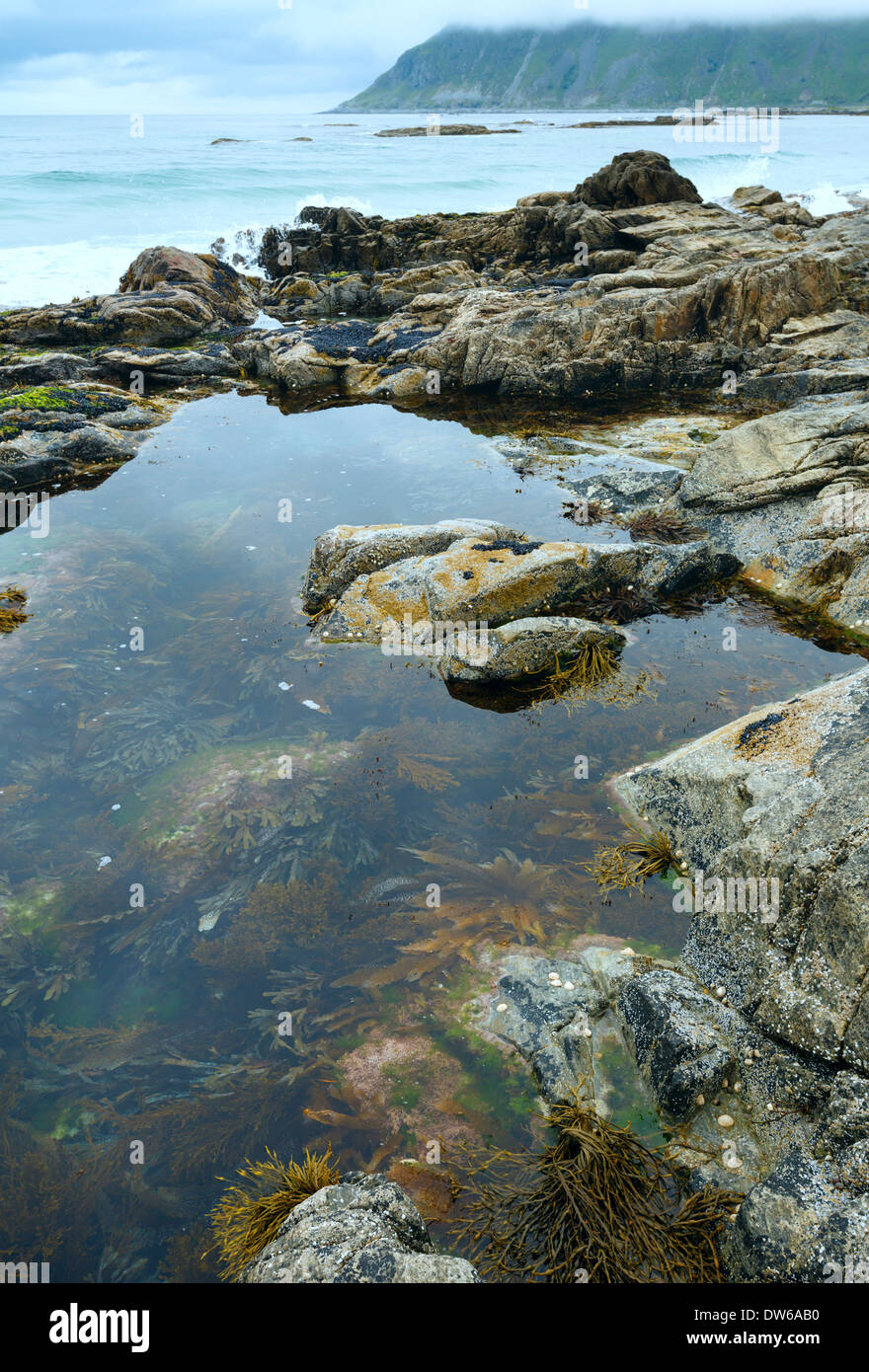 Pool with stones hi-res stock photography and images - Alamy