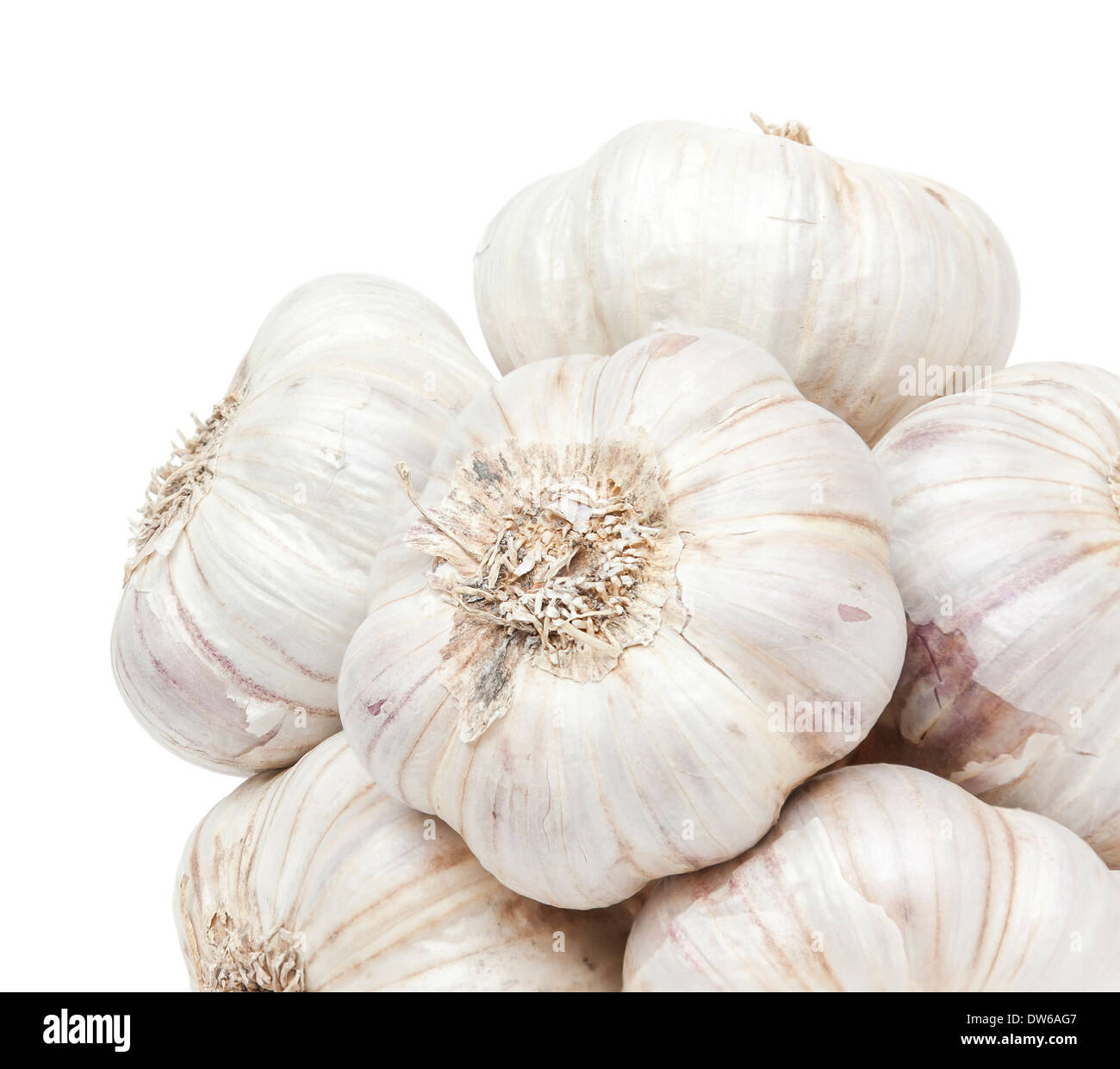 Isolated garlic bunch on white background Stock Photo - Alamy