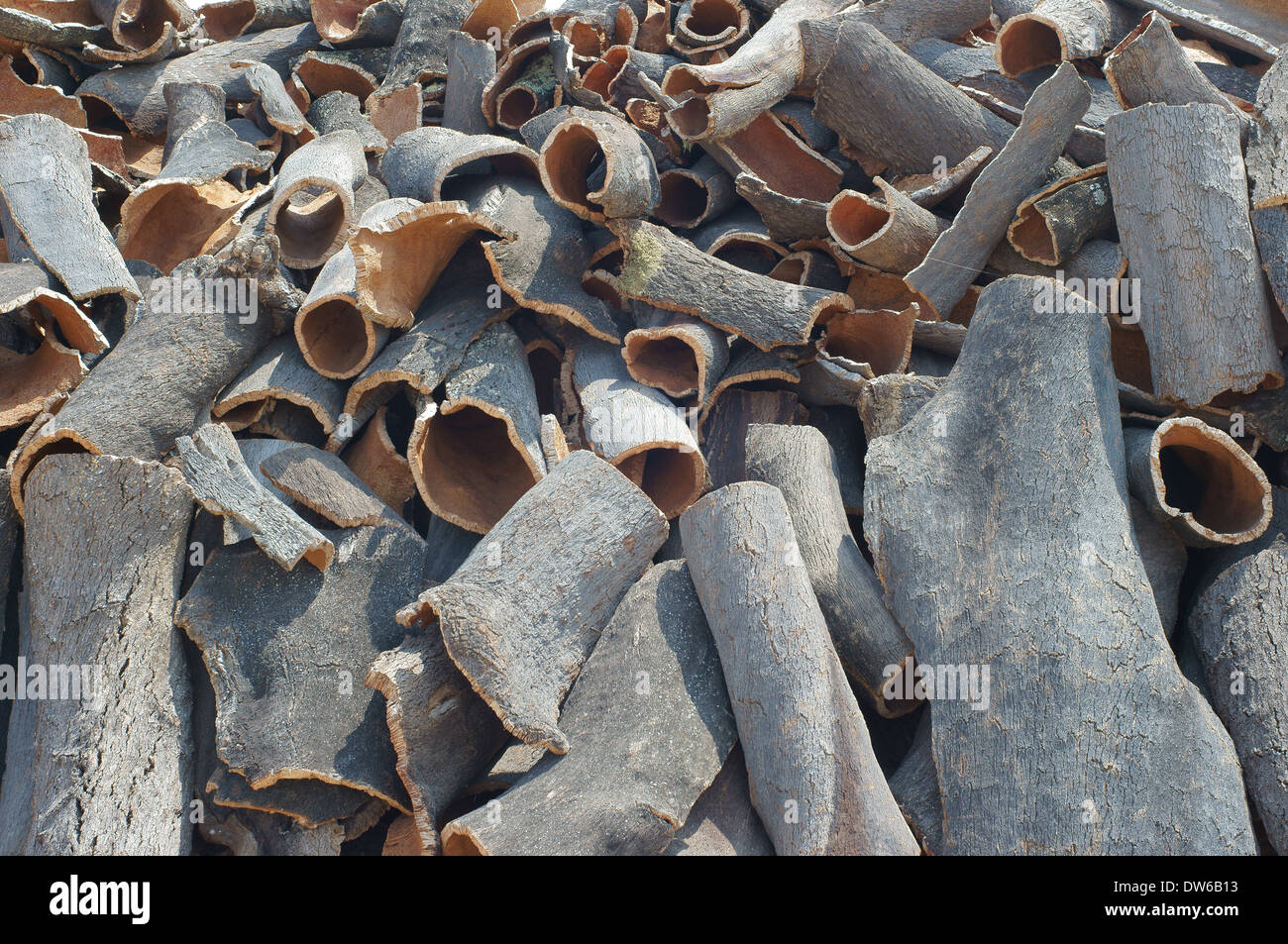 Stacked cork oak bark Algerve Portugal Quercus suber Stock Photo - Alamy