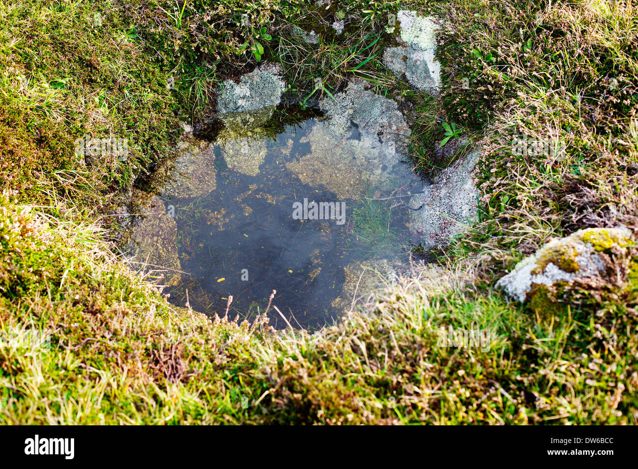 Kelp burning pit hi-res stock photography and images - Alamy