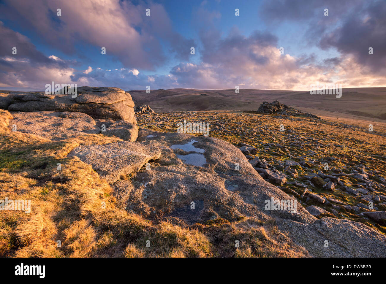 Rich evening sunlight bathes the moorland at Higher Tor in Dartmoor ...