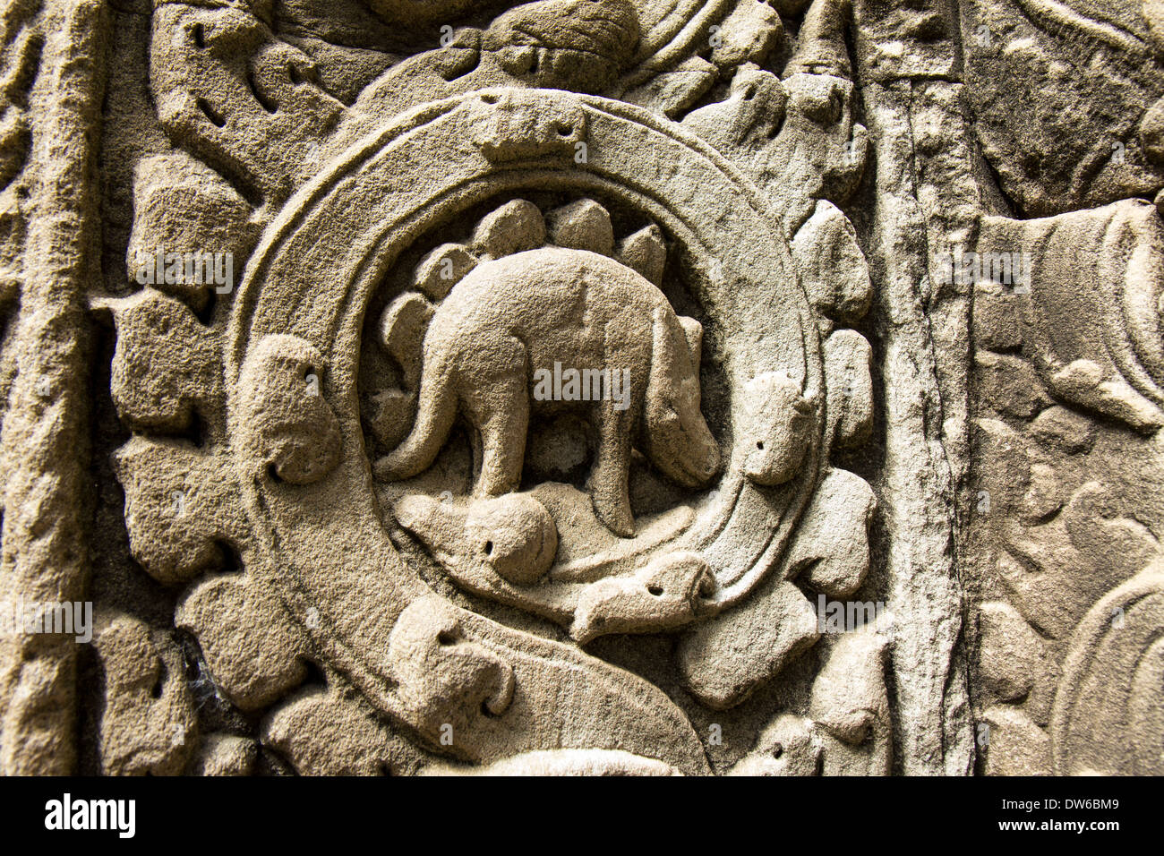 Dinosaur bas-relief on the wall of Ta Prohm in Angkor Cambodia Stock ...