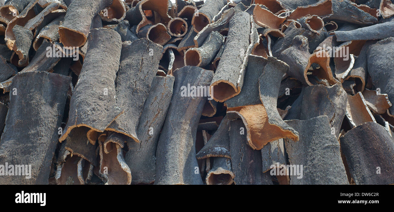 Stacked cork oak bark Algerve Portugal Quercus suber Stock Photo - Alamy
