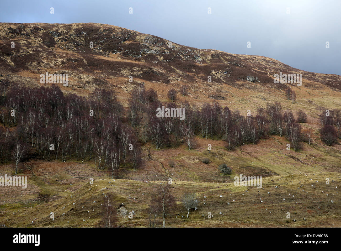 Roybridge High Resolution Stock Photography and Images - Alamy