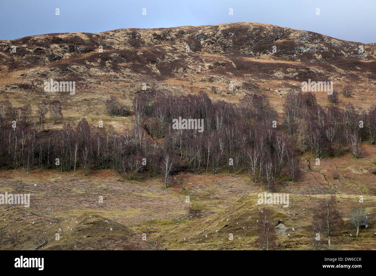 Roybridge hi-res stock photography and images - Alamy