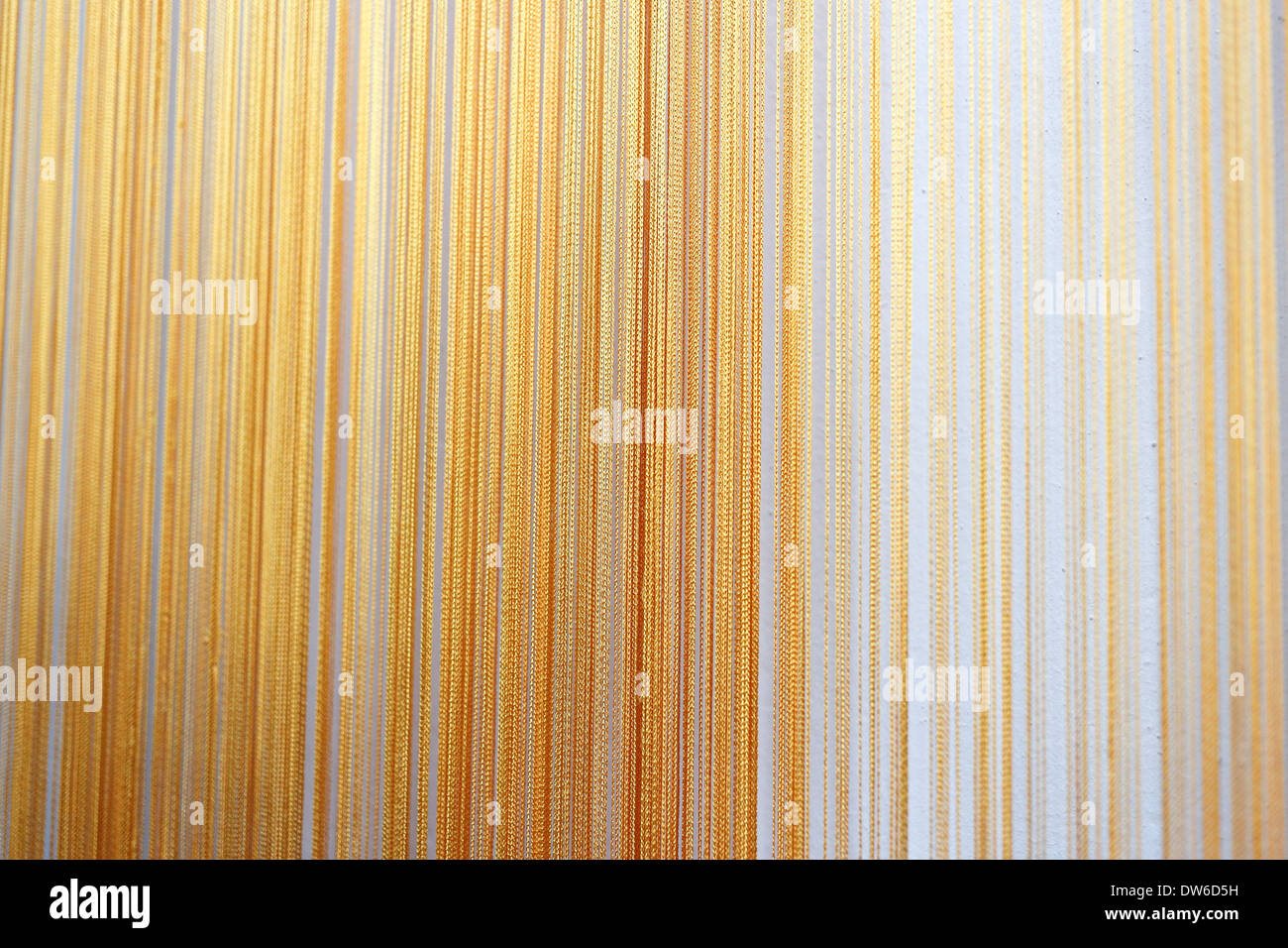 Remarkable detail hi-res stock photography and images - Alamy