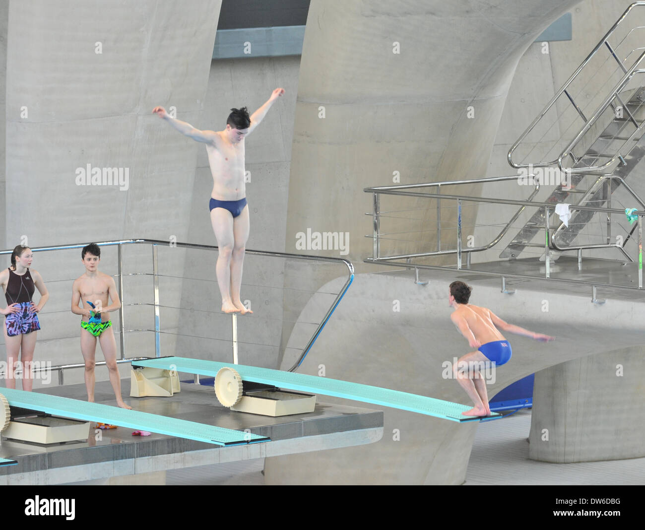 Olympic Diving Board