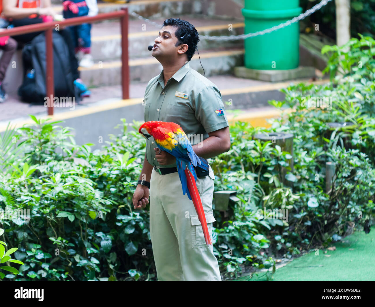Bird show at the Singapore Zoo Stock Photo - Alamy