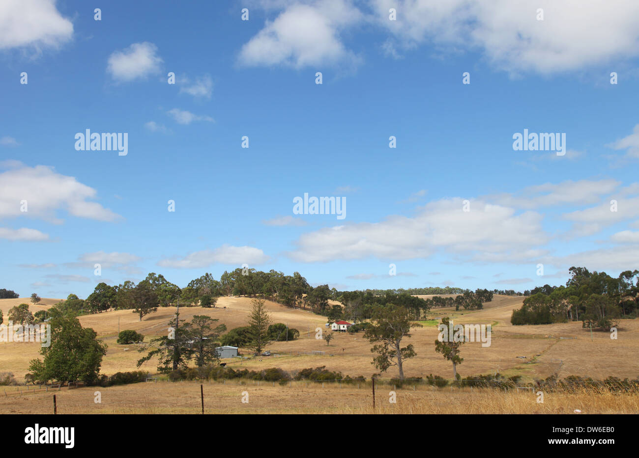 Australian farm life hi-res stock photography and images - Alamy