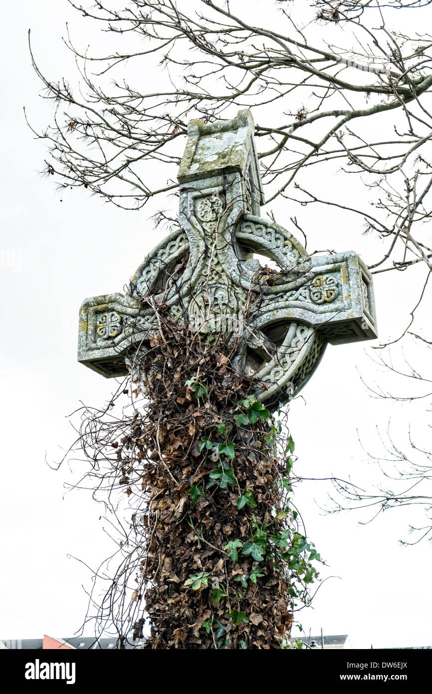An ornate Gaelic cross grave marker with ivy entwined around it in an ...