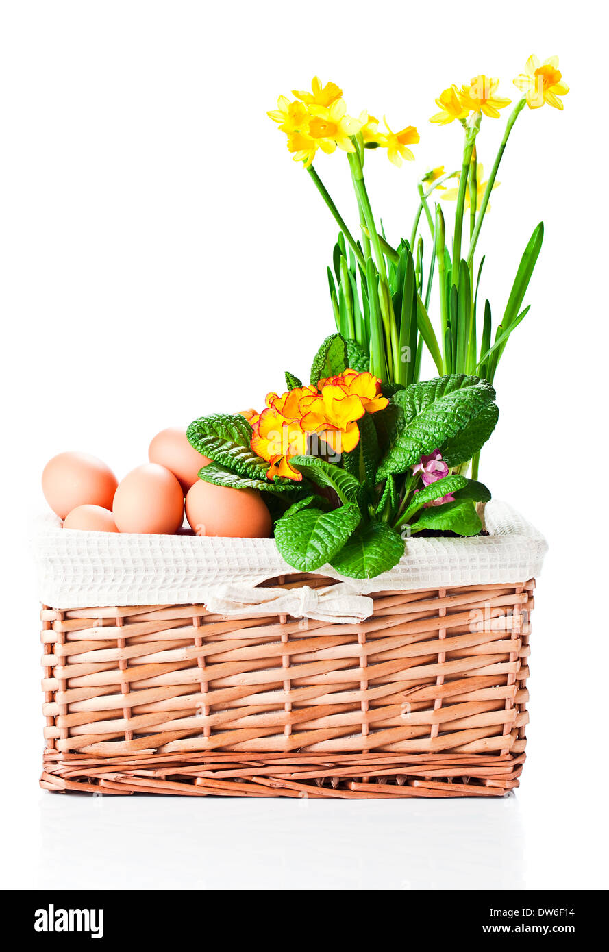 basket with spring flowers and eggs isolated on white Stock Photo - Alamy