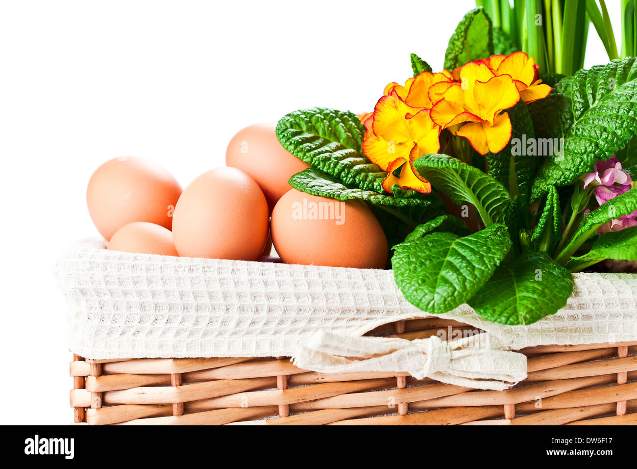 basket with spring flowers and eggs isolated on white Stock Photo - Alamy