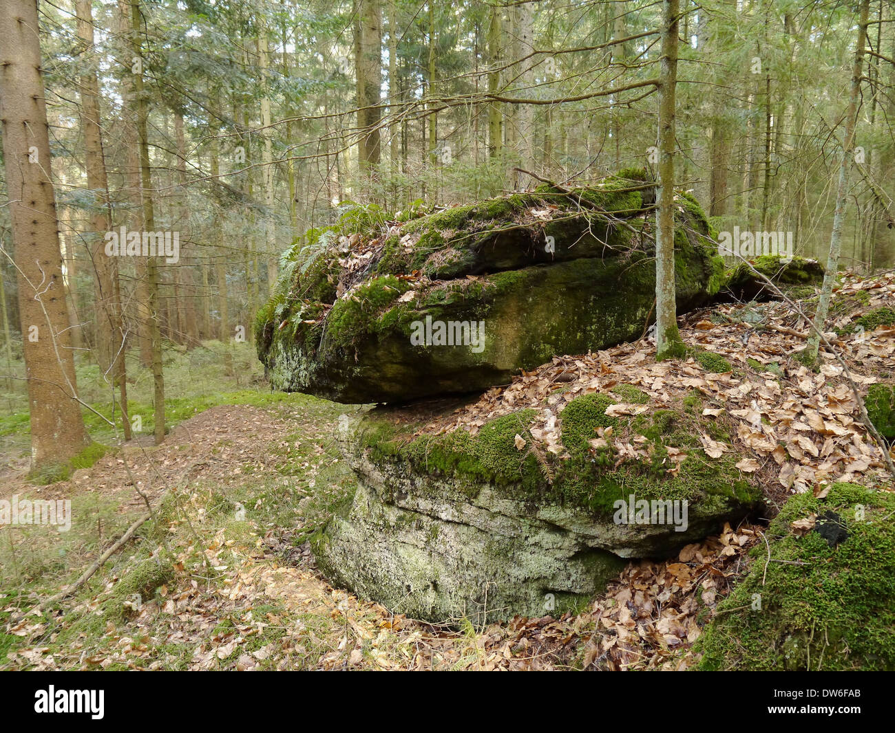 monolith / geological consisting of a single massive rock in nature ...
