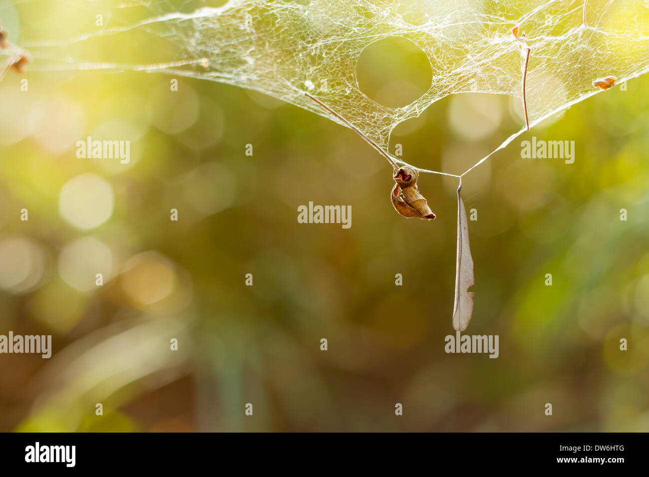 A simply beautiful of the nature #2 Stock Photo - Alamy