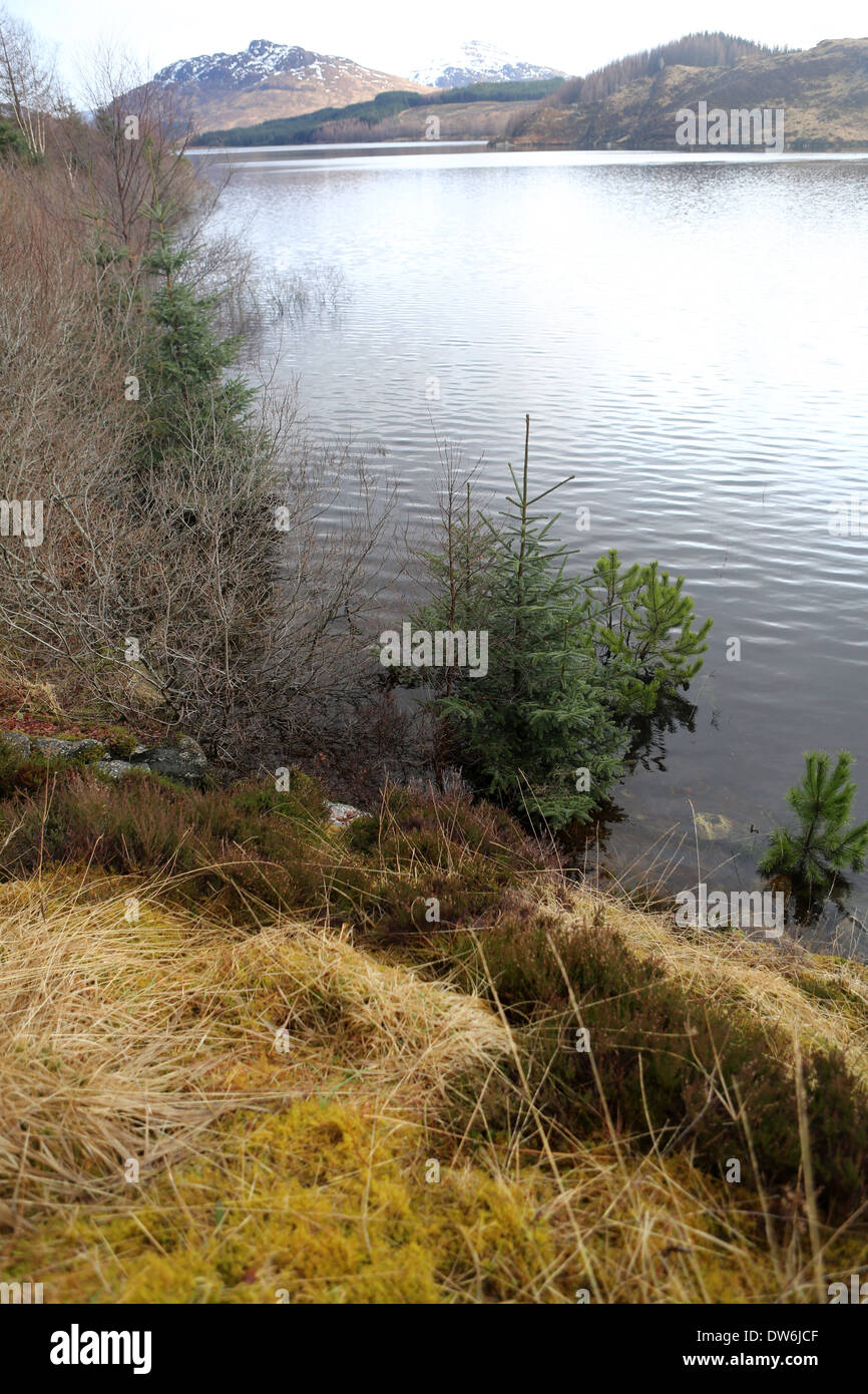 Roybridge High Resolution Stock Photography and Images - Alamy