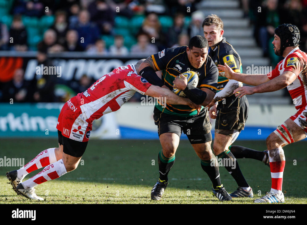 Northampton, England. 1st March, 2014. Salesi MA'AFU of Northampton ...