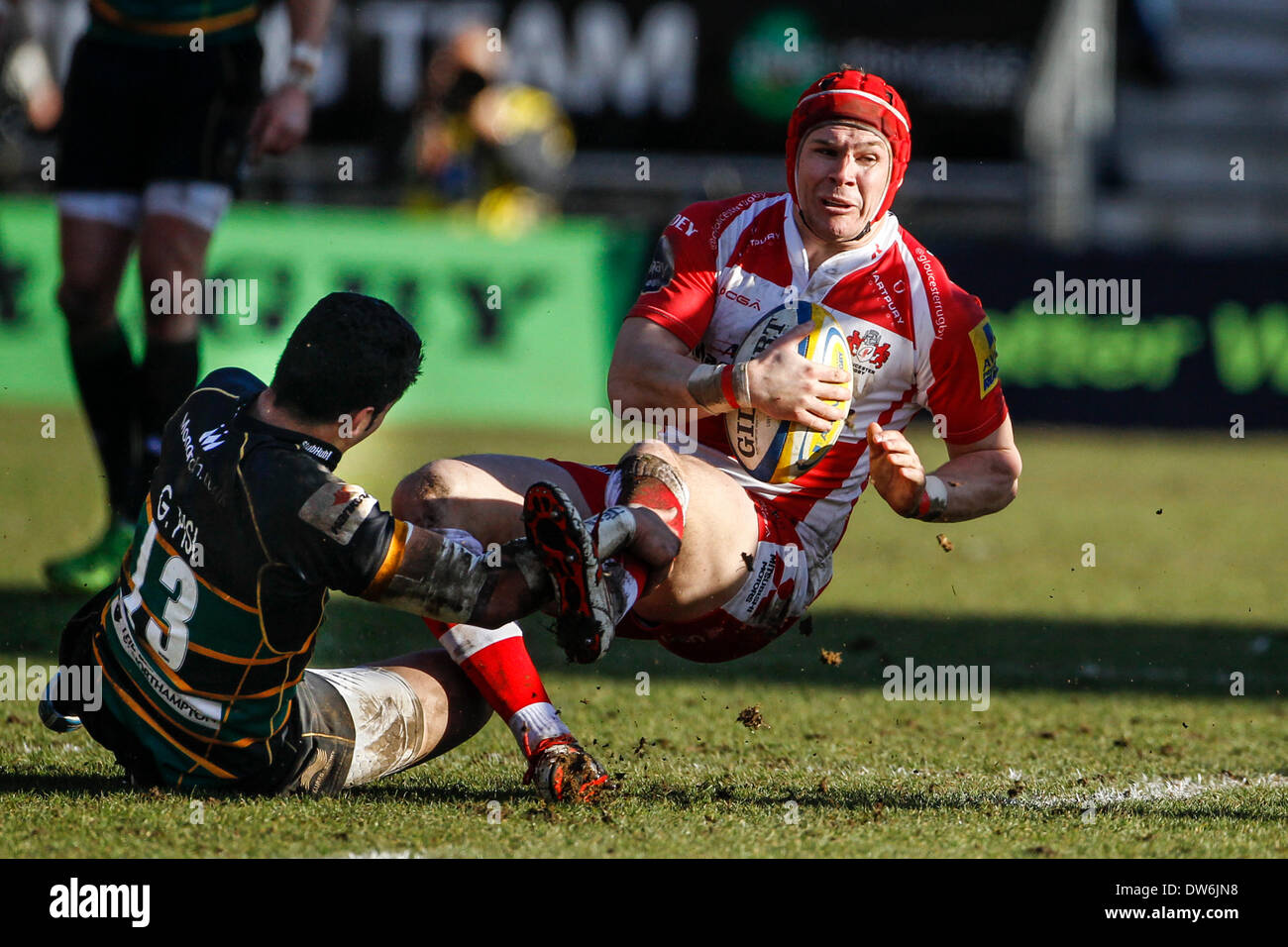 Northampton, England. 1st March, 2014. Rob COOK of Gloucester is ...