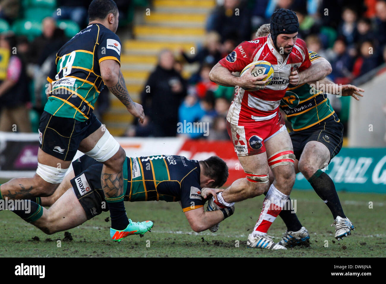 Northampton, England. 1st March, 2014. Gareth EVANS of Gloucester is ...