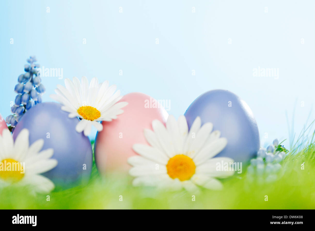 Decorated easter eggs in spring green grass Stock Photo - Alamy