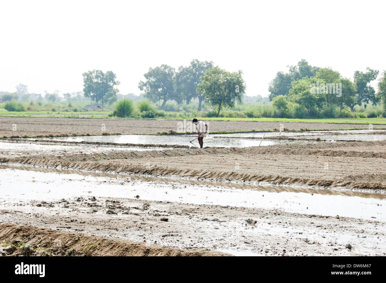 Indian farmer digging hi-res stock photography and images - Alamy