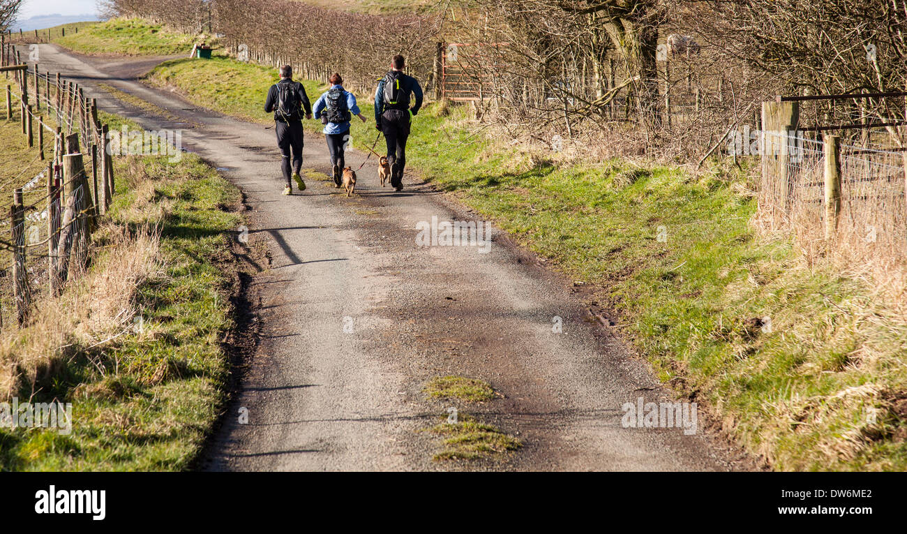 Grass Runners Stock Photos & Grass Runners Stock Images - Alamy