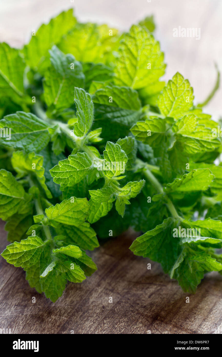 Bunch of green fresh mint herbs on rustic wooden table background Stock ...