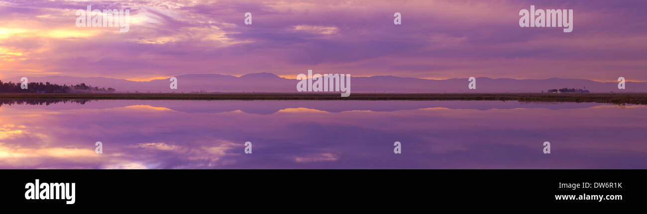 Dramatic sunset over flooded rice fields in the Sacramento Valley of ...
