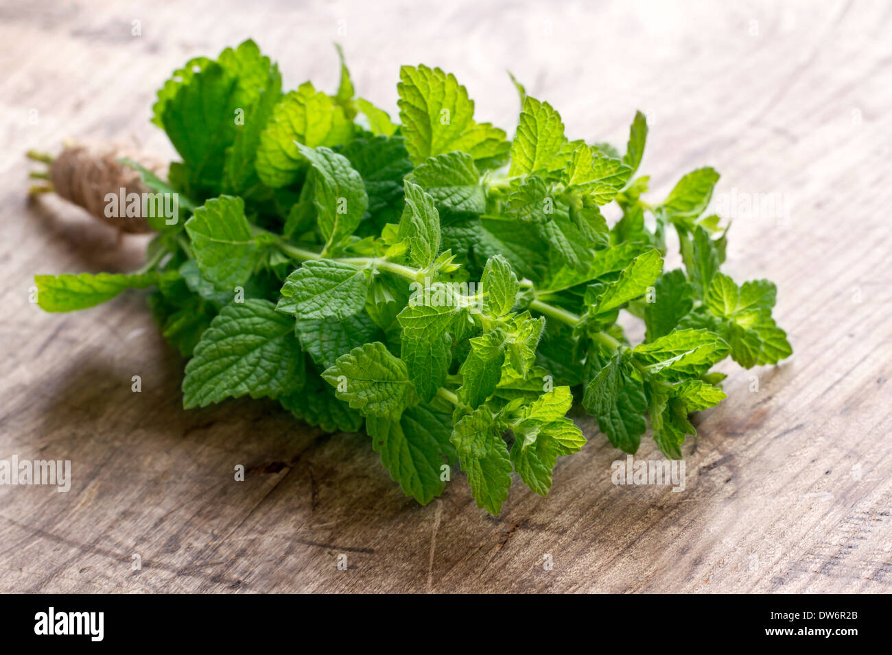 Bunch of green fresh mint herbs on rustic wooden table background Stock ...