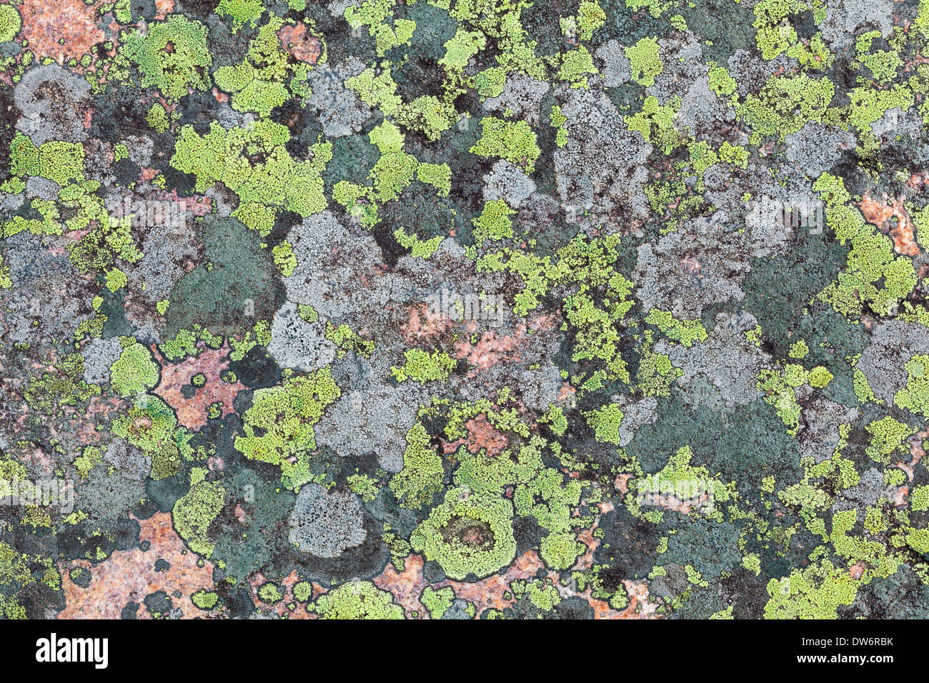 Textures hi-res stock photography and images - Alamy