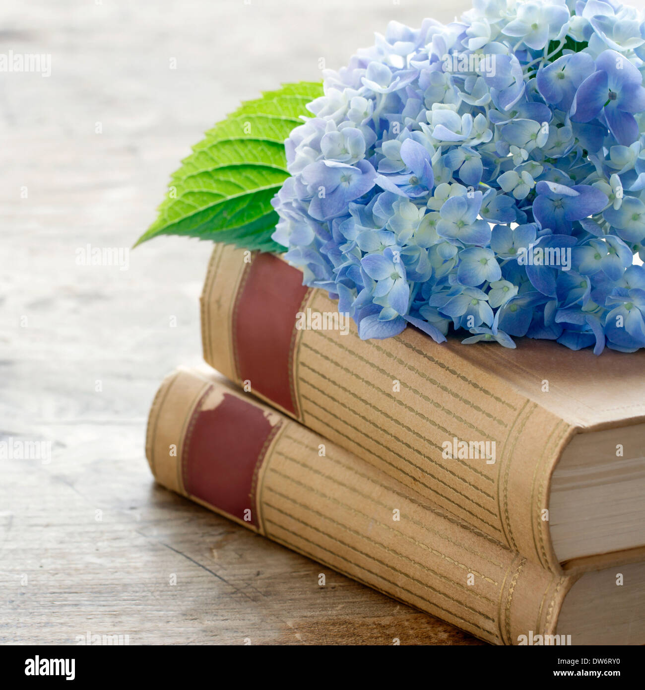 Vintage Books And Flowers