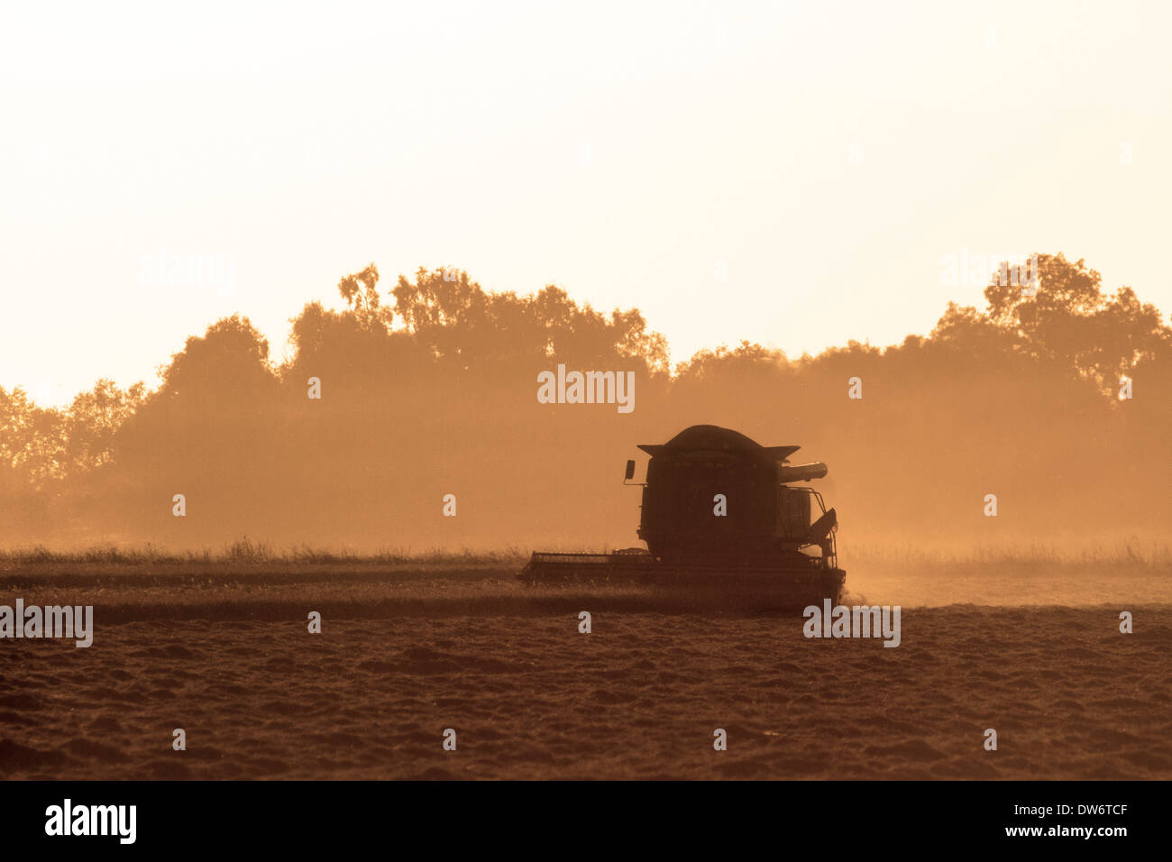 Rice harvesting in the late afternoon in the Sacramento Valley of ...